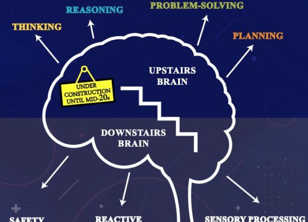 Upstairs Brain - Greg Santucci : Greg Santucci